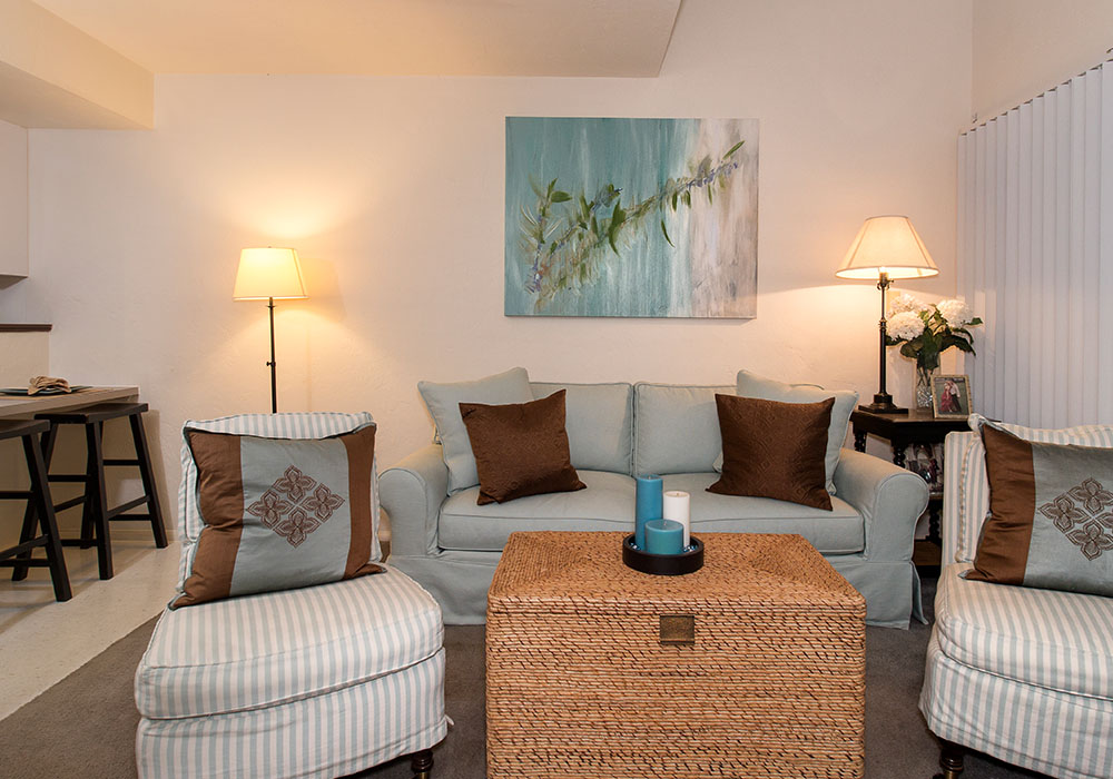 Gallery | Treebecka Park